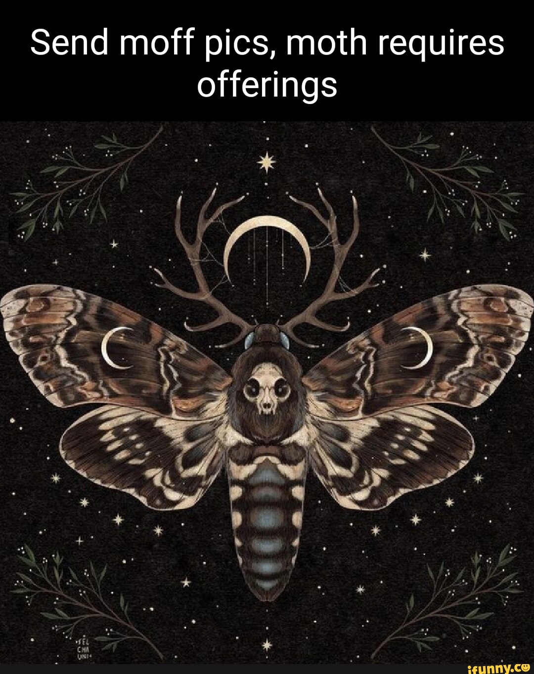 Moff memes. Best Collection of funny Moff pictures on iFunny