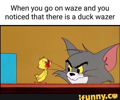 Waze memes. Best Collection of funny Waze pictures on iFunny