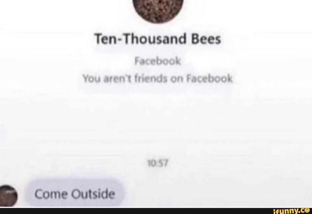 Ten- Thousand Bees Facebook You aren't friends on Facebook Come Outside ...