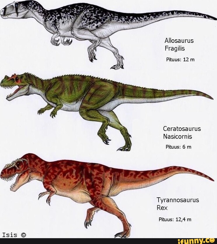 Allosaurus Vs Ceratosaurus