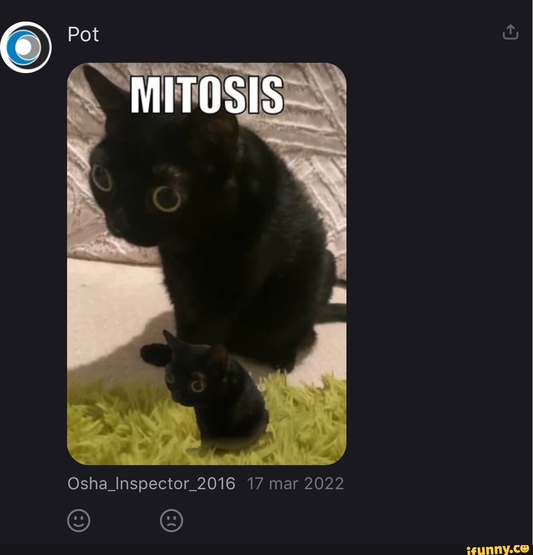 Mitosis memes. Best Collection of funny Mitosis pictures on iFunny