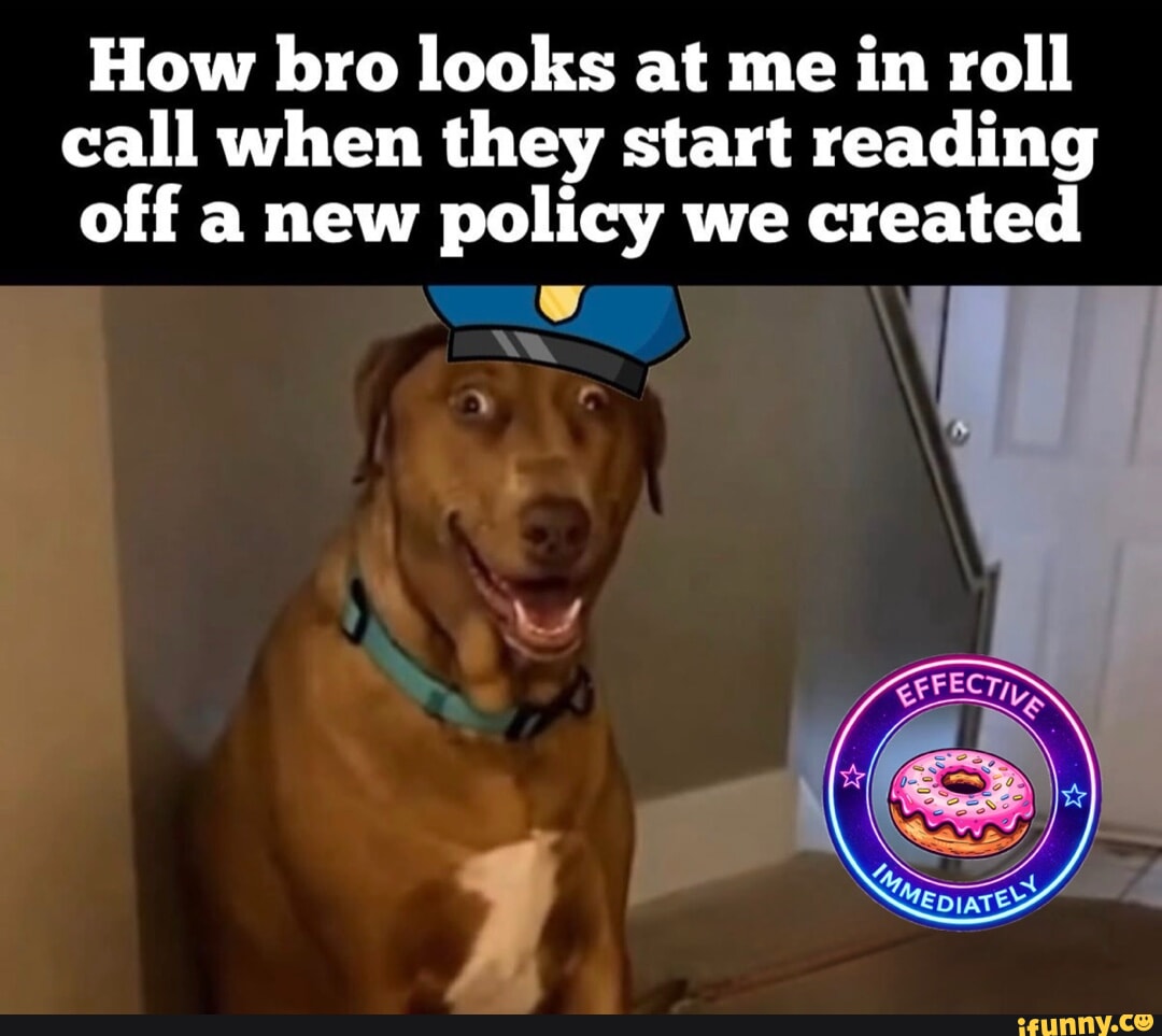 How bro looks at me in roll call when they start reading off a new ...