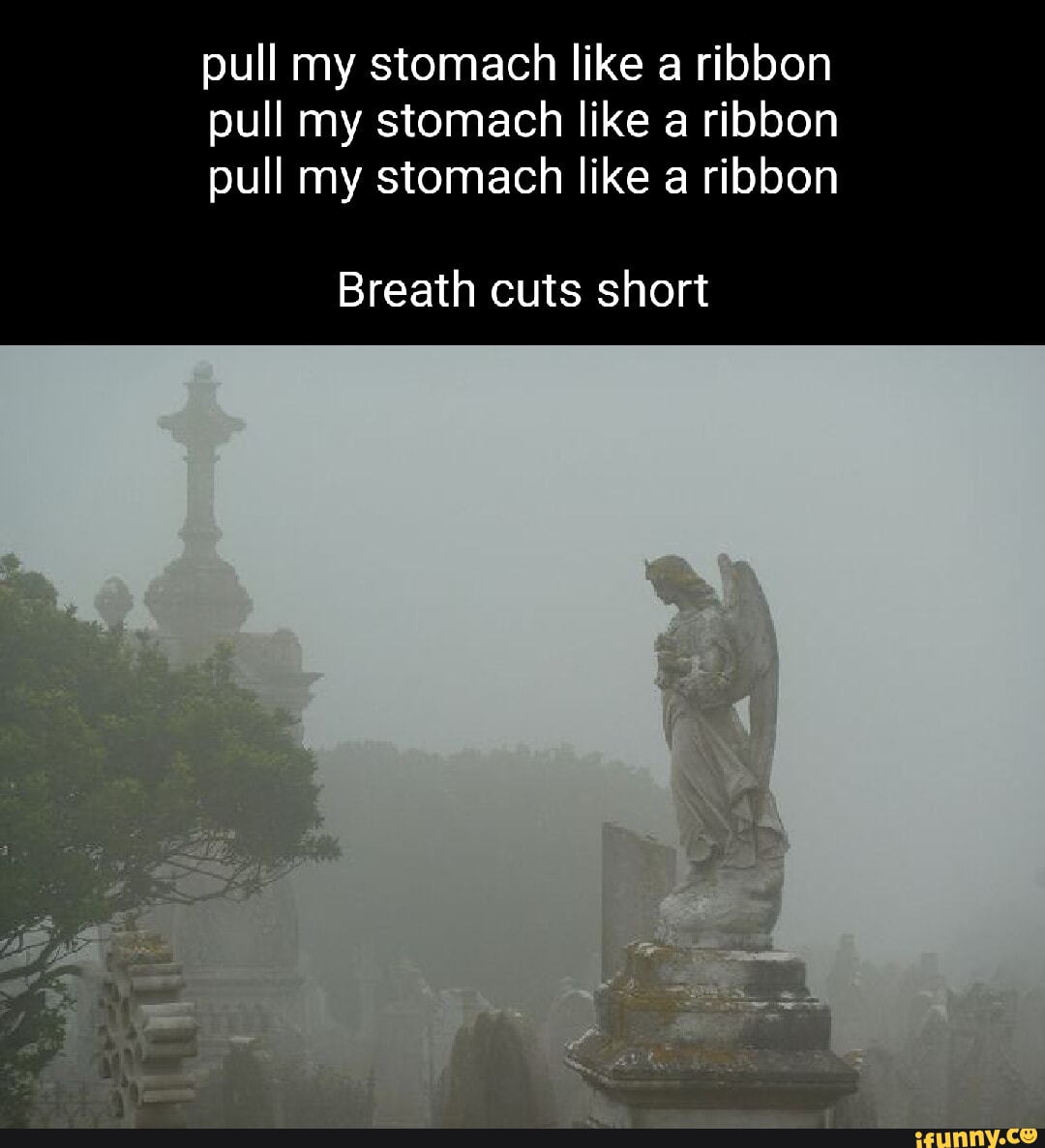 Ribbon memes. Best Collection of funny Ribbon pictures on iFunny