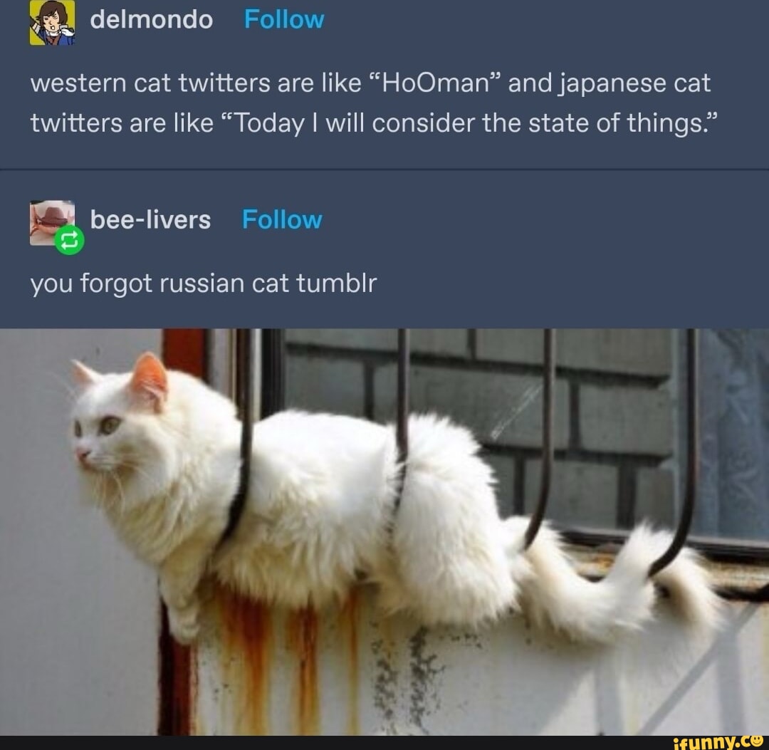 Chan. bosch The Beatles I Want To Hold Your Hand - iFunny