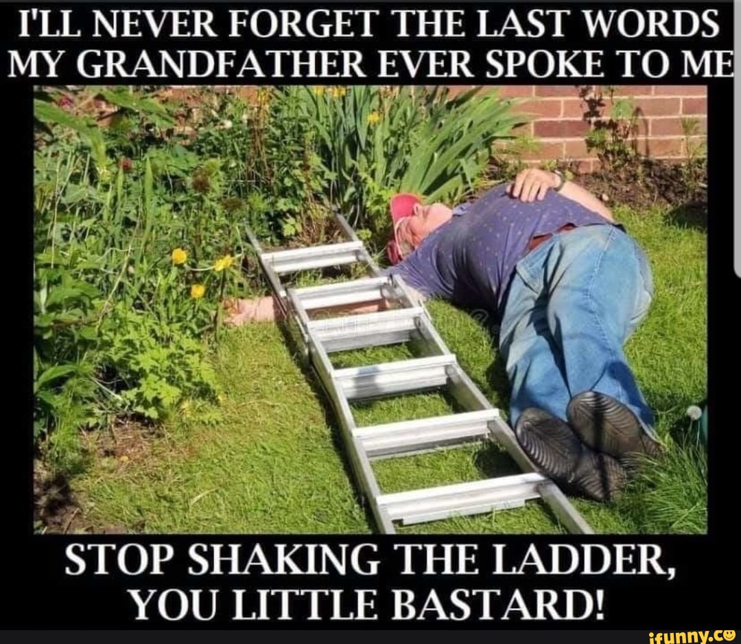 Ladder memes. Best Collection of funny Ladder pictures on iFunny