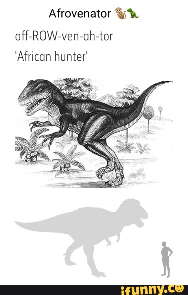 Afrovenator of- ROW -ven-oh-tor "African hunter' - iFunny