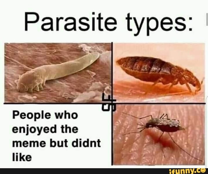 Parasite types: People who enjoyed the meme but didnt like - iFunny