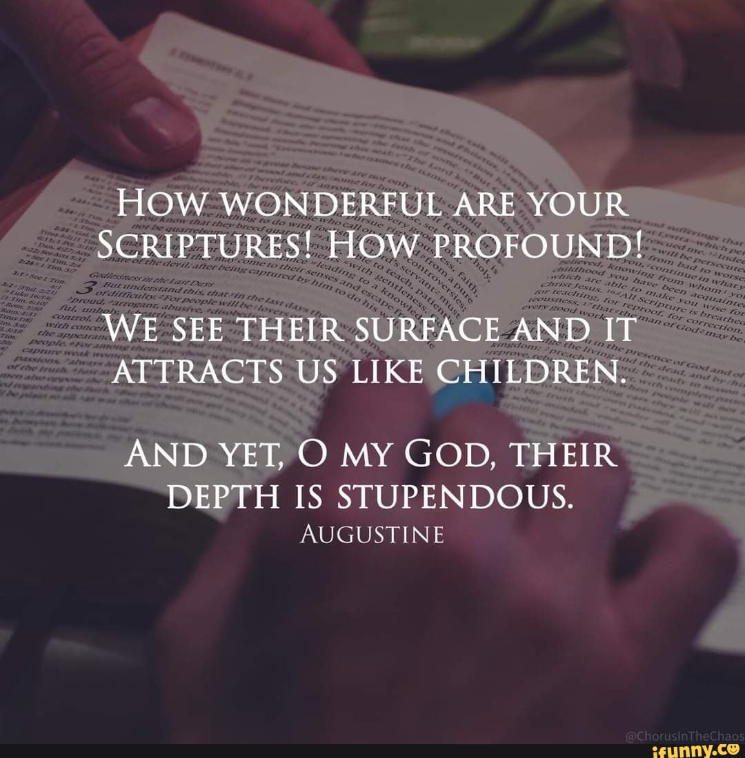 HOW WONDERFUL ARE YOUR SCRIPTURES! HOW PROFOUND! WE SEE THEIR SURFACE ...
