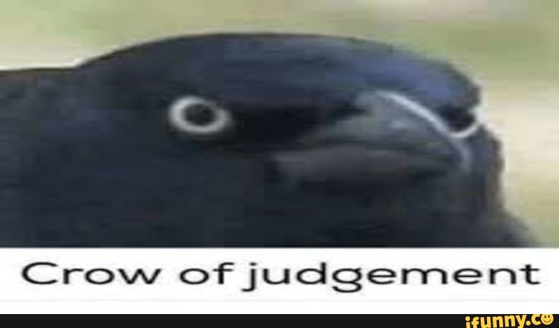 Crow memes. Best Collection of funny Crow pictures on iFunny