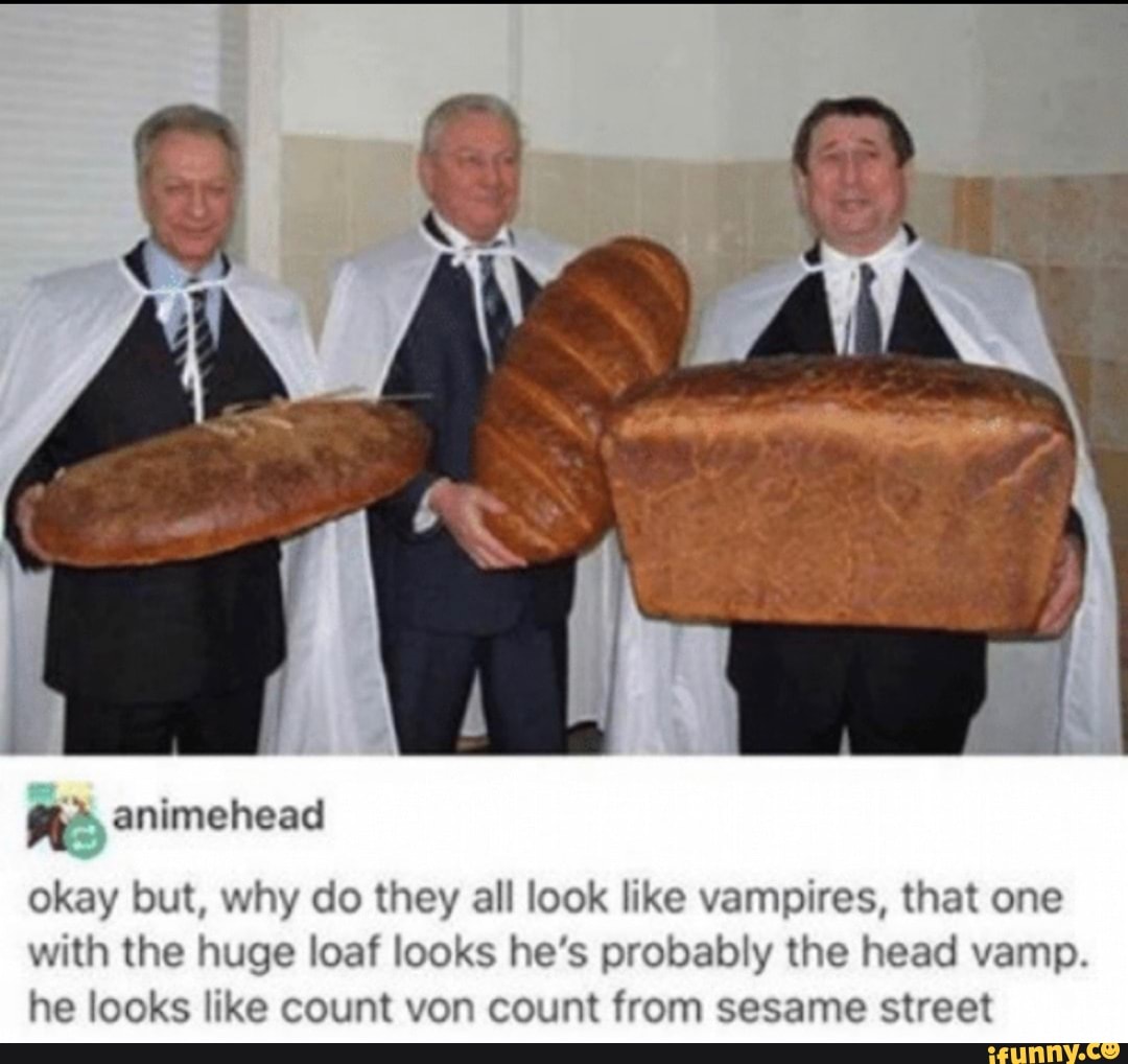 Animehead okay but, why do they all look like vampires, that one with ...