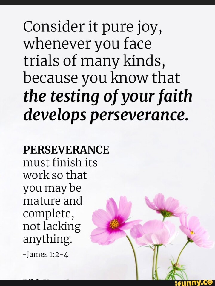 Perseverance memes. Best Collection of funny Perseverance pictures on ...