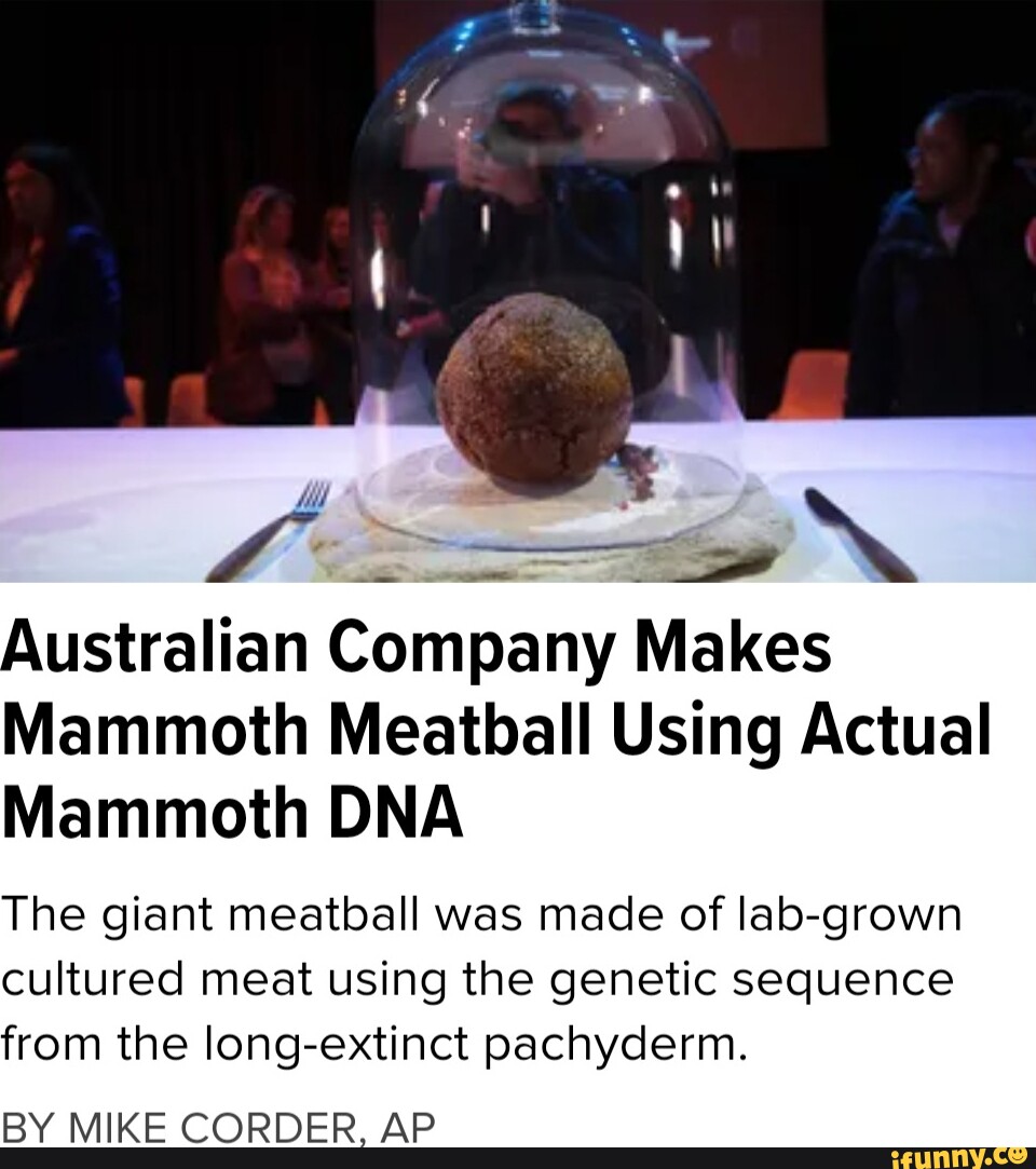 Australian Company Makes Mammoth Meatball Using Actual Mammoth DNA The ...