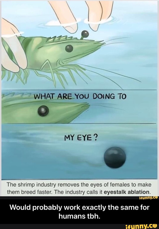 Ablation memes. Best Collection of funny Ablation pictures on iFunny