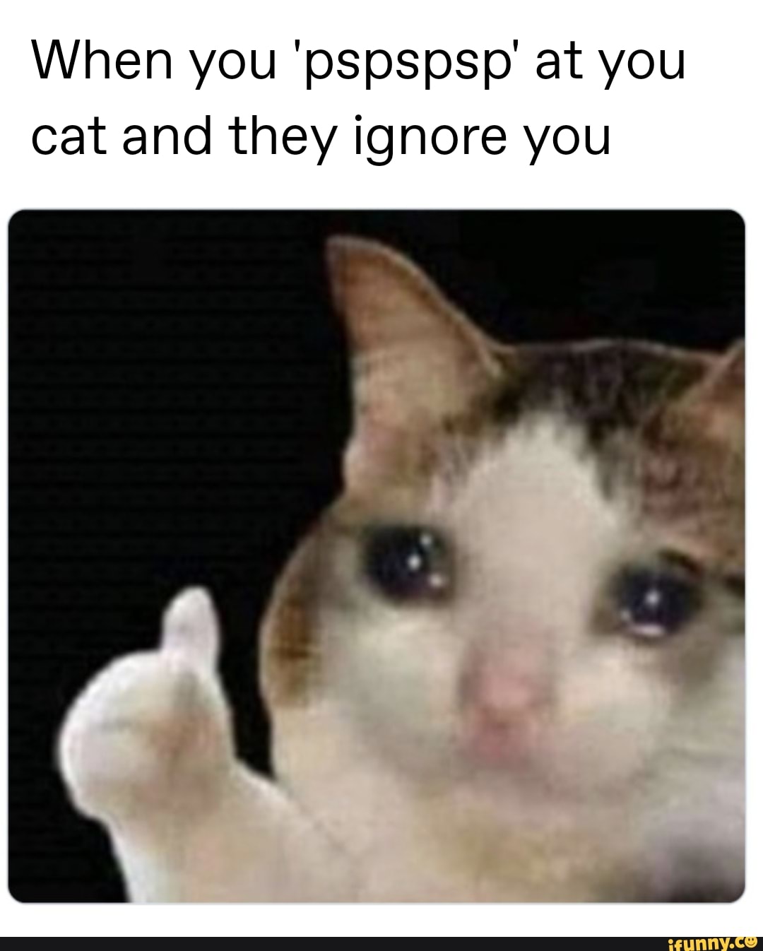 Pspspsp memes. Best Collection of funny Pspspsp pictures on iFunny