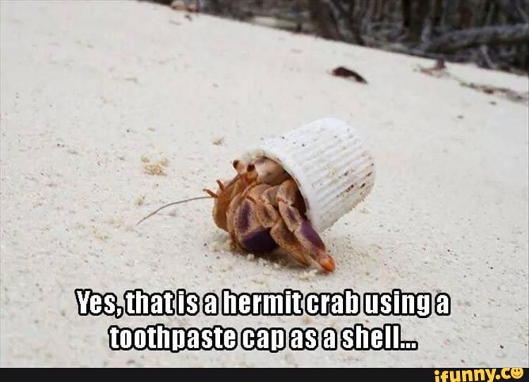 Capas memes. Best Collection of funny Capas pictures on iFunny