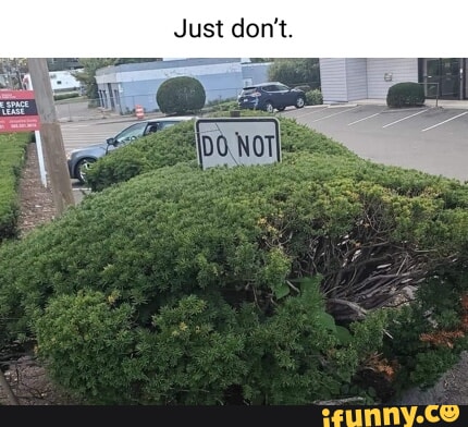 Bpo memes. Best Collection of funny Bpo pictures on iFunny
