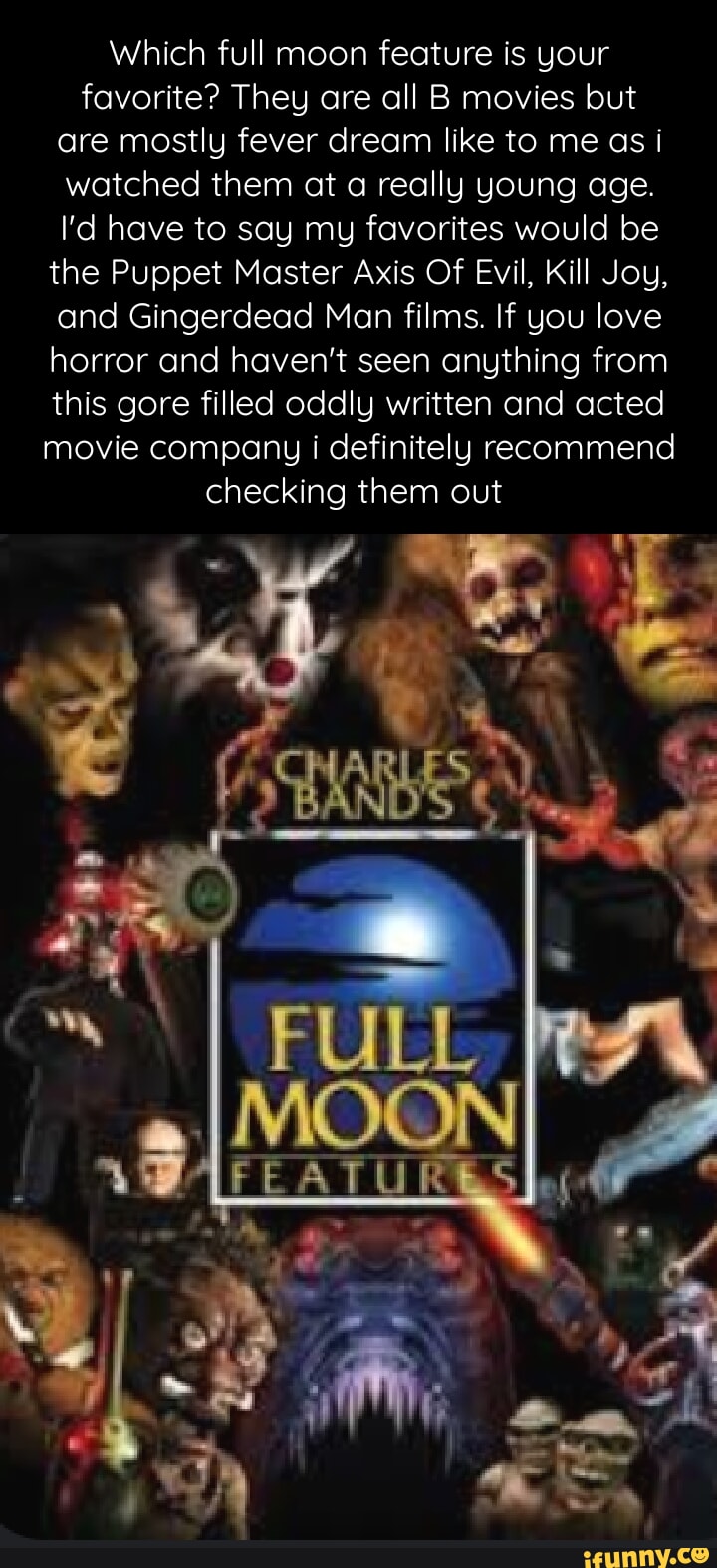 Wilk memes. Best Collection of funny Wilk pictures on iFunny