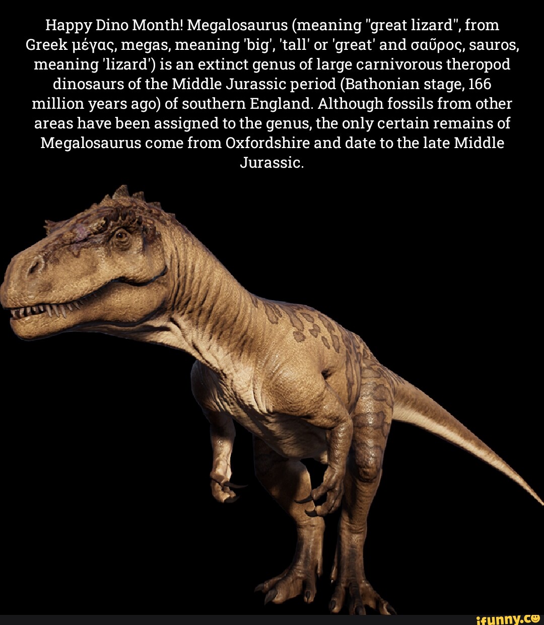Happy Dino Month! Megalosaurus (meaning "great lizard", from Greek ...