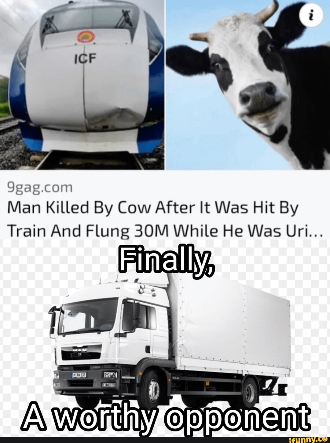 Jera cory Man Killed By Cow After It Was Hit By Train And Flung While ...
