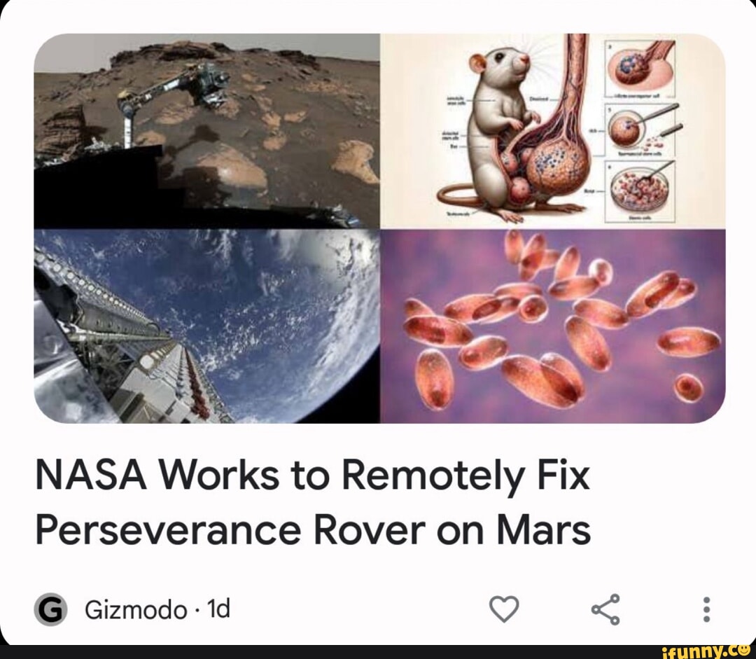 Perseverance memes. Best Collection of funny Perseverance pictures on ...