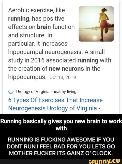 Neurogenesis memes. Best Collection of funny Neurogenesis pictures on ...