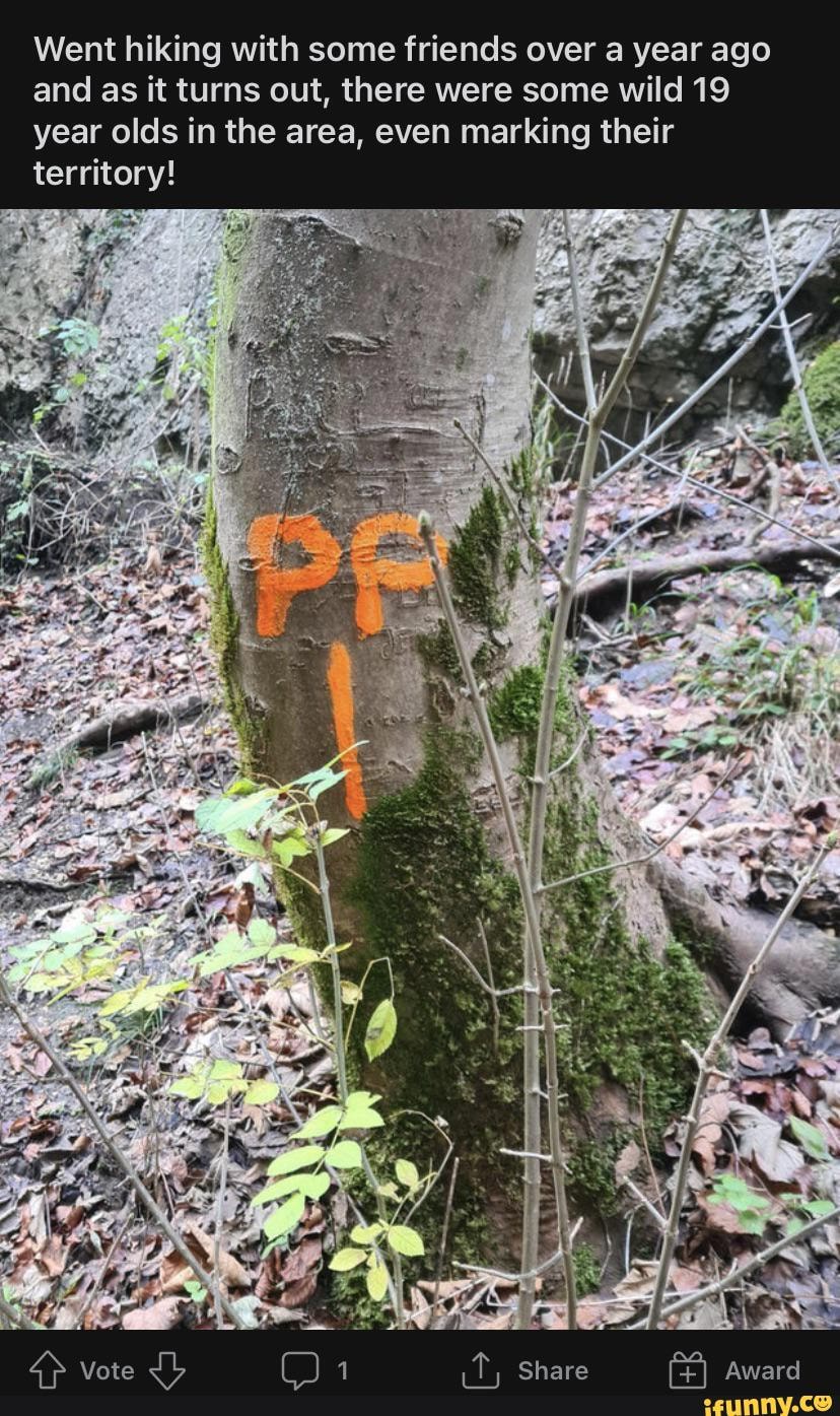 Marking memes. Best Collection of funny Marking pictures on iFunny