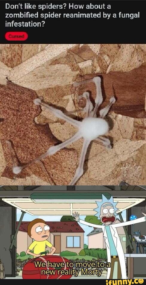 Don't like spiders? How about a zombified spider reanimated by a fungal ...