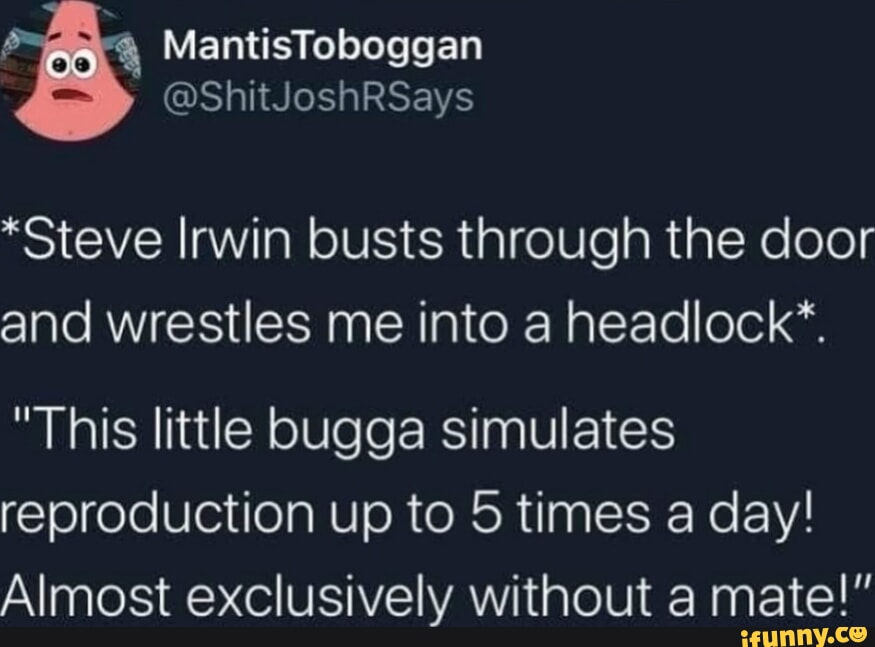 MantisToboggan *Steve Irwin busts through the door and wrestles me into ...