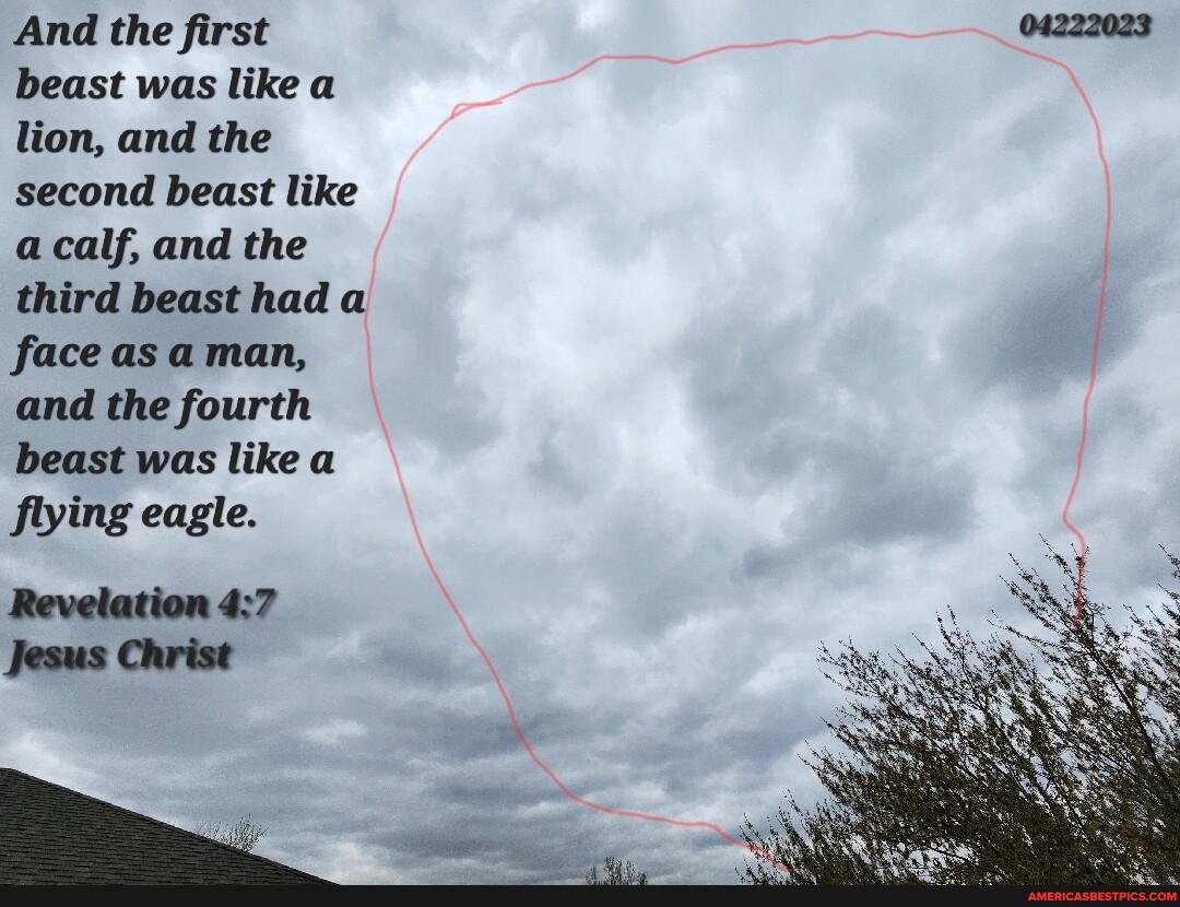 And the first beast was like a lion, and the second beast like a calf ...