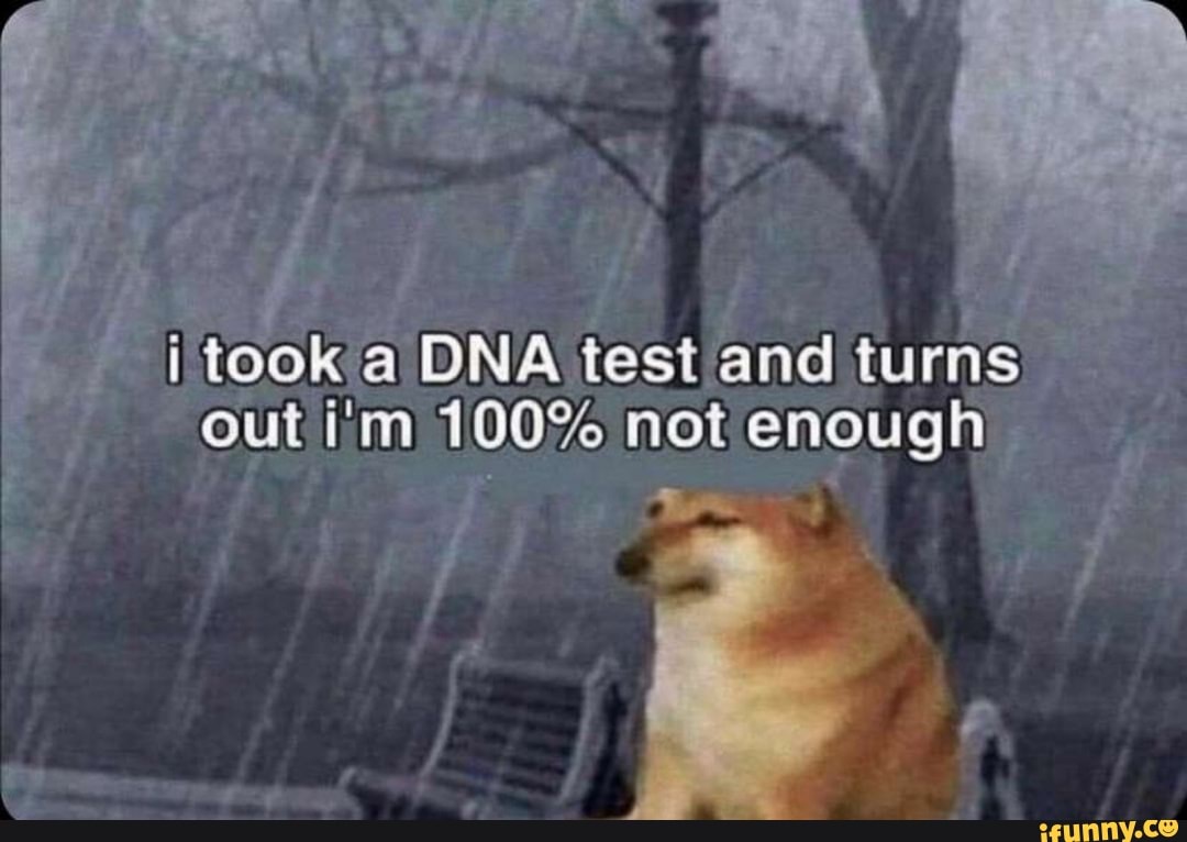 Furas memes. Best Collection of funny Furas pictures on iFunny