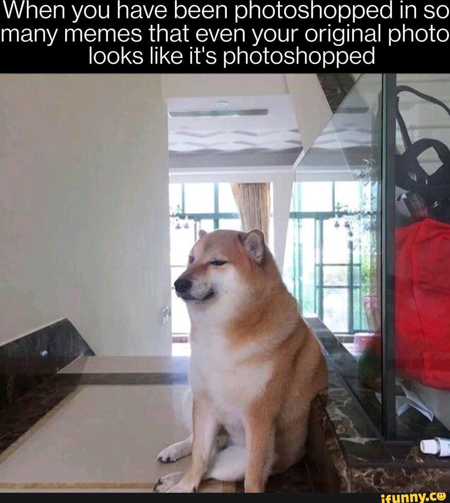 Video memes 2EaWOMs1B by Meme_Random - iFunny