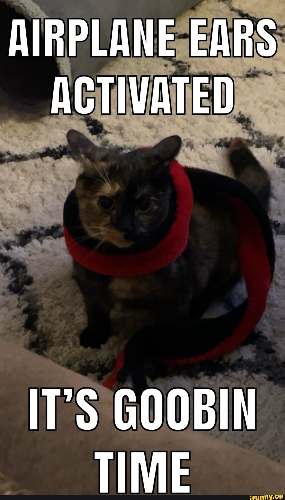 Goobin memes. Best Collection of funny Goobin pictures on iFunny