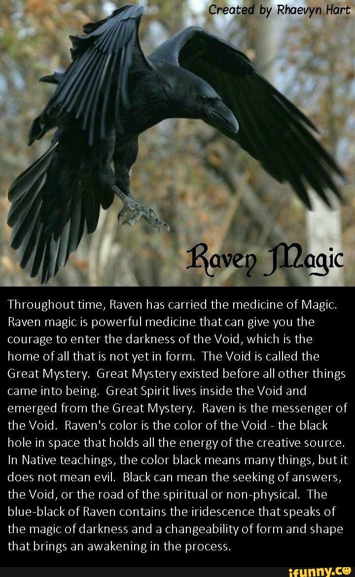 Created by Rhaevyn Hart Throughout time, Raven has carried the medicine ...