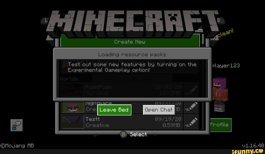 Loading resource packs Test out some new features by turning on the ...