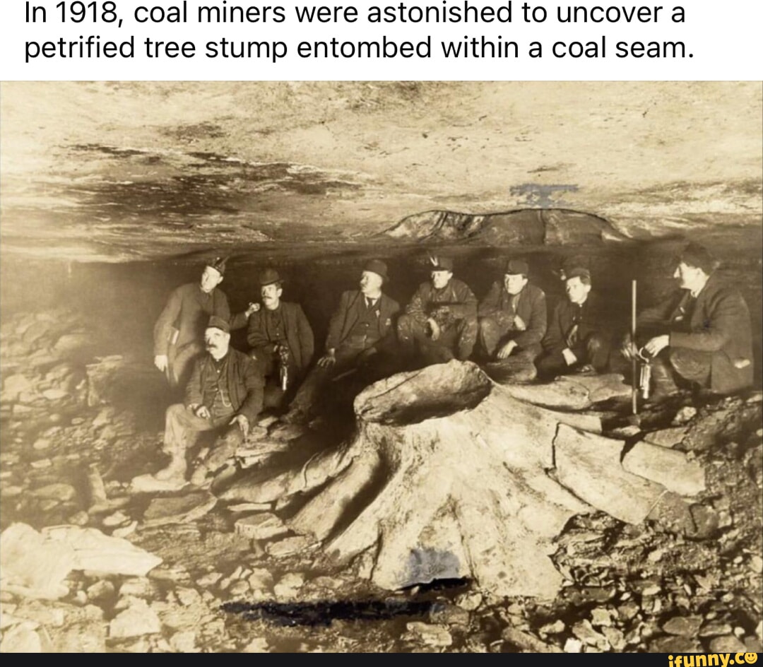 Astonished memes. Best Collection of funny Astonished pictures on iFunny