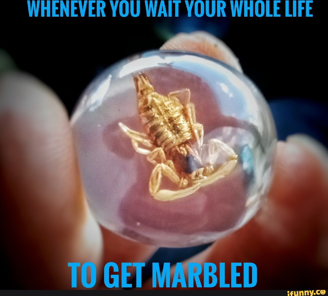 Marbles memes. Best Collection of funny Marbles pictures on iFunny