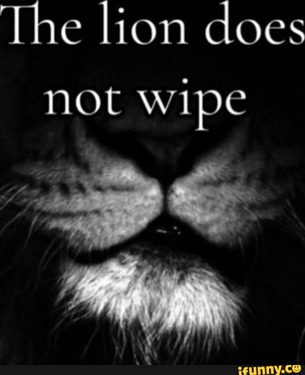 The lion does not wipe - iFunny