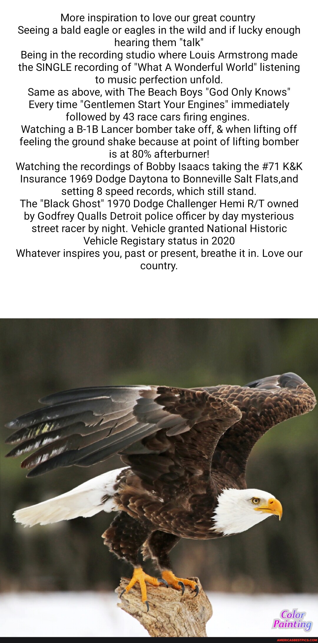 More inspiration to love our great country Seeing a bald eagle or ...