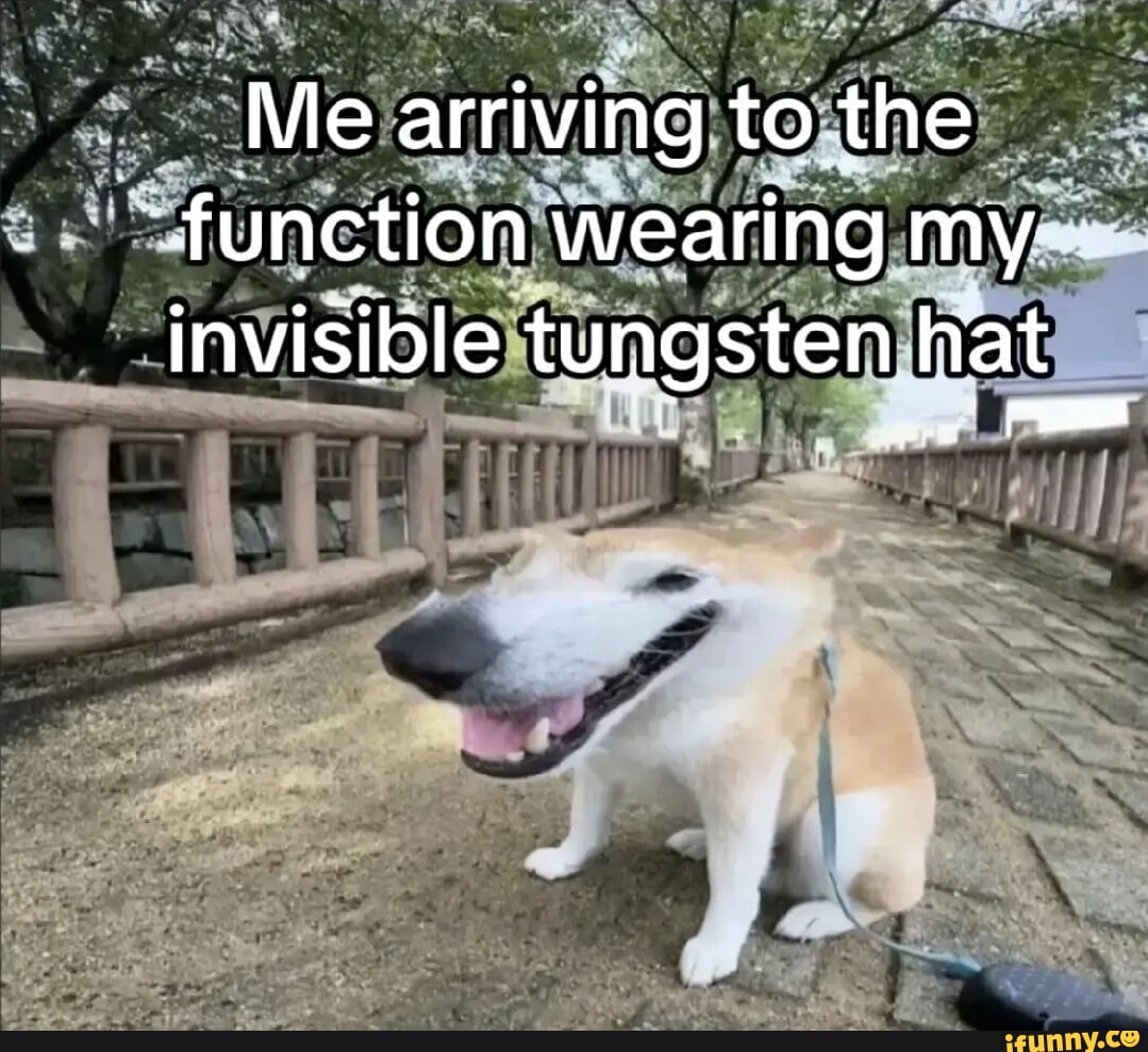 Mle arriving to the function wearing my invisible tungsten hat - iFunny