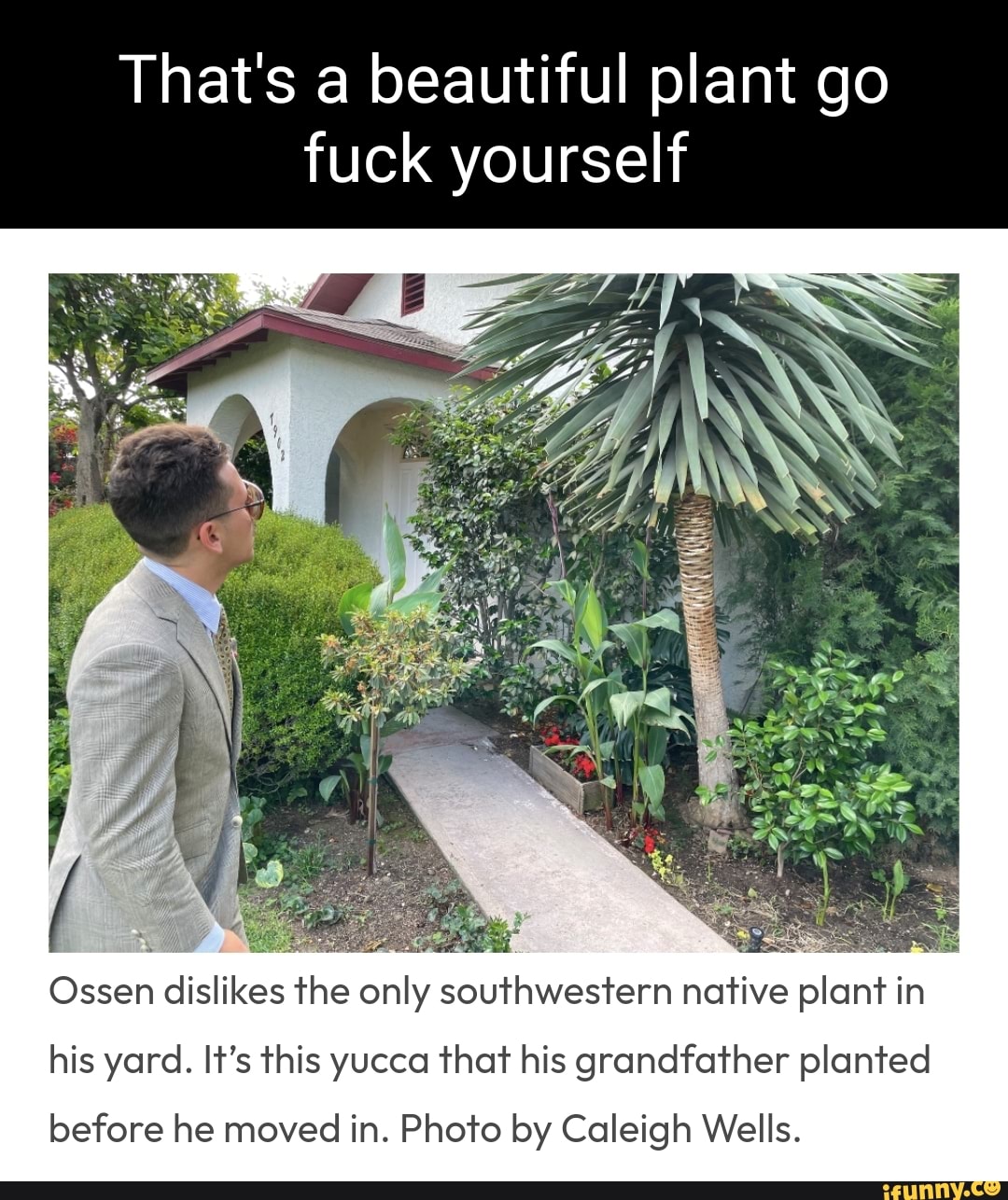 Yucca memes. Best Collection of funny Yucca pictures on iFunny