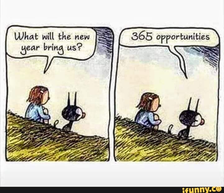 Wholesome meme day 31 365 opportunities - What will the new 365 ...
