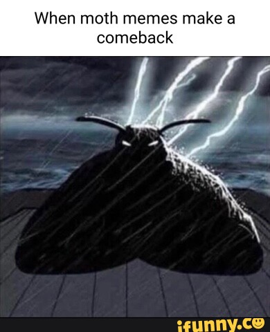 En moth memes make a comeback - iFunny