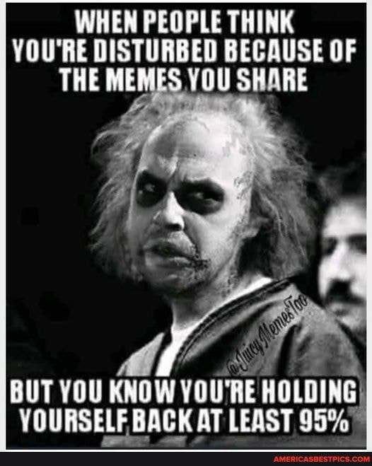 WHEN PEOPLE THINK YOU'RE DISTURBED BECAUSE OF THE MEMES YOU SHARE BUT ...