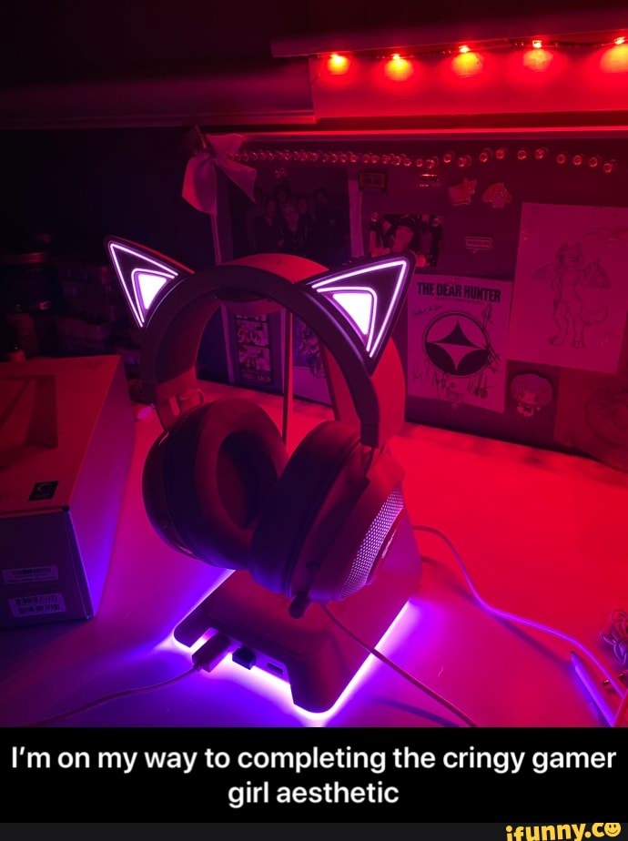I'm on my way to completing the cringy gamer girl aesthetic - I’m on my ...