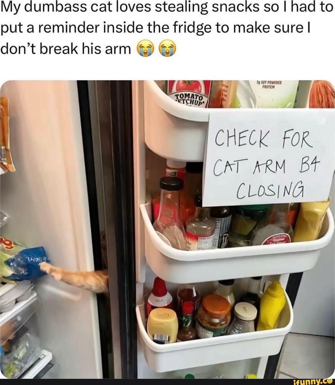 Fridge memes. Best Collection of funny Fridge pictures on iFunny