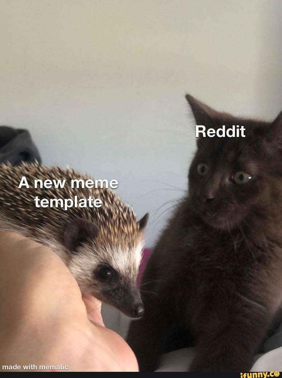 Reddit A new meme template - iFunny