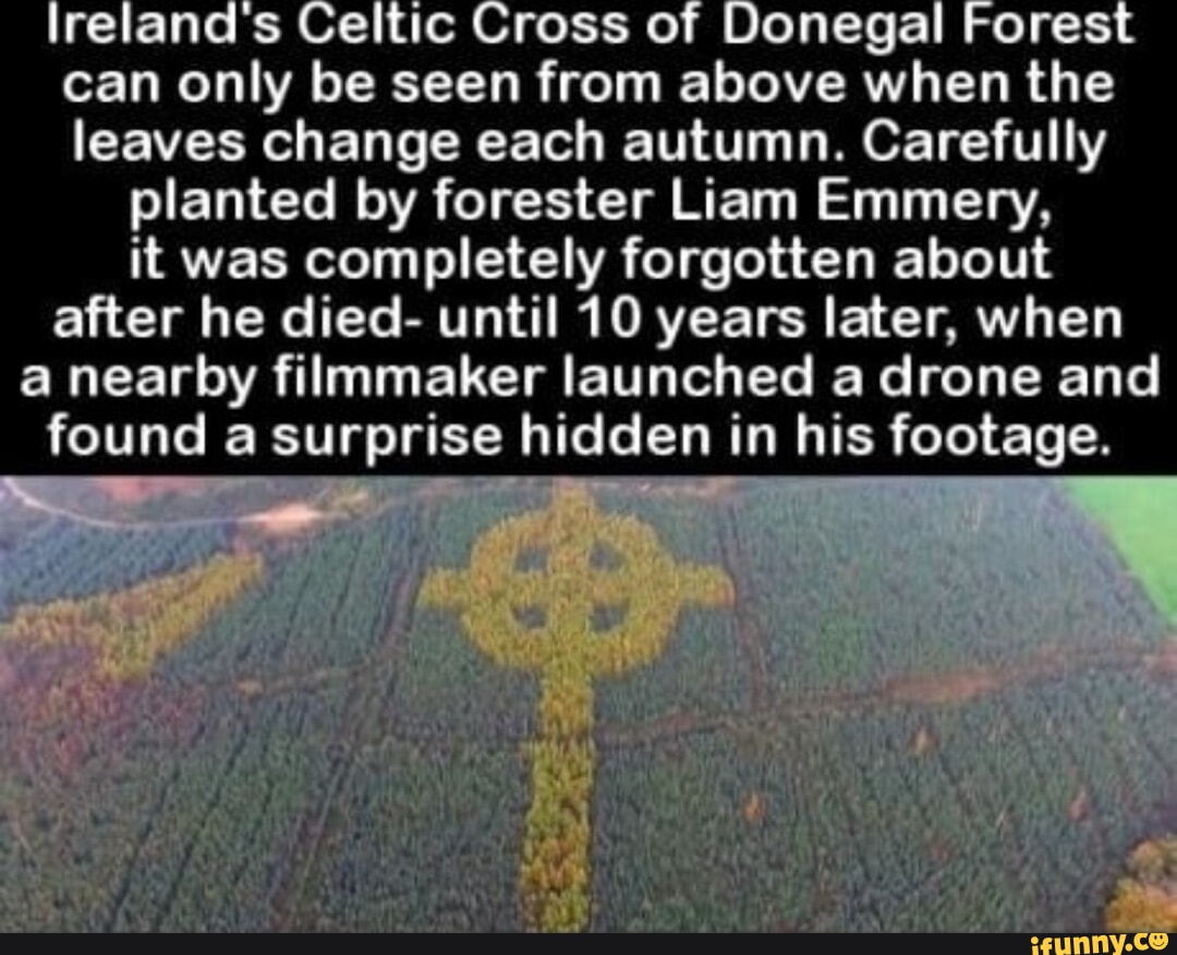 Forester memes. Best Collection of funny Forester pictures on iFunny