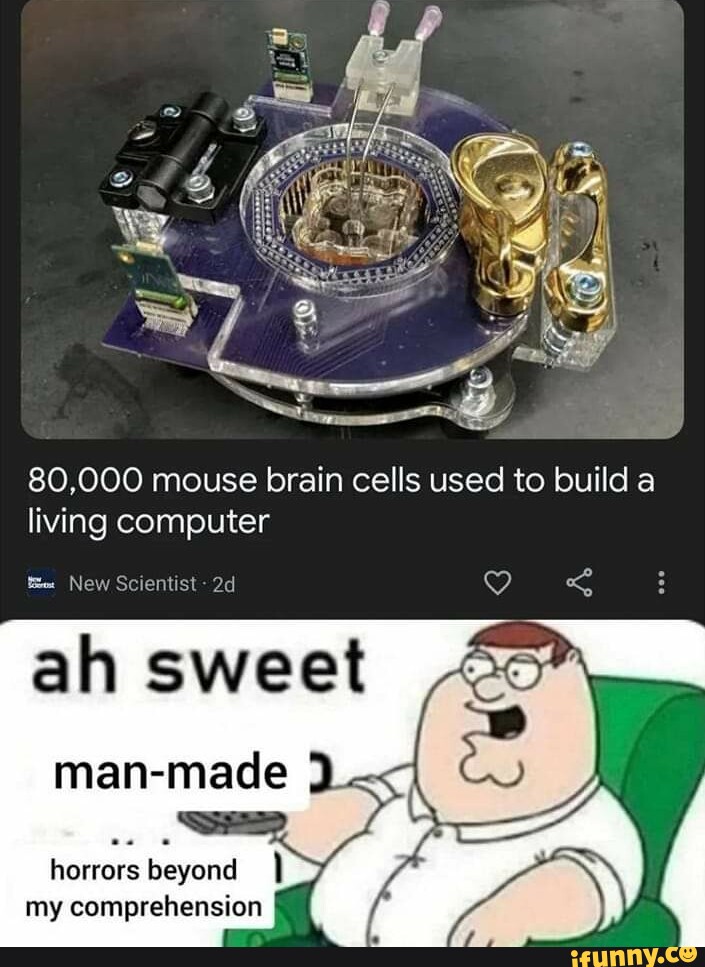 80,000 mouse brain cells used to build a living computer New Scientist ...