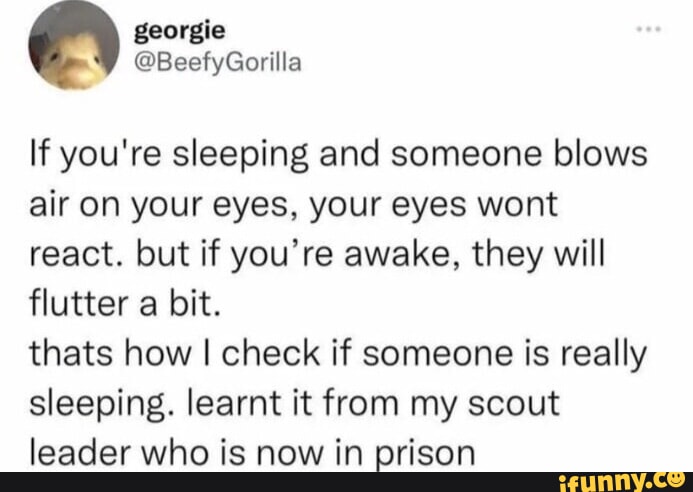 Flutter memes. Best Collection of funny Flutter pictures on iFunny