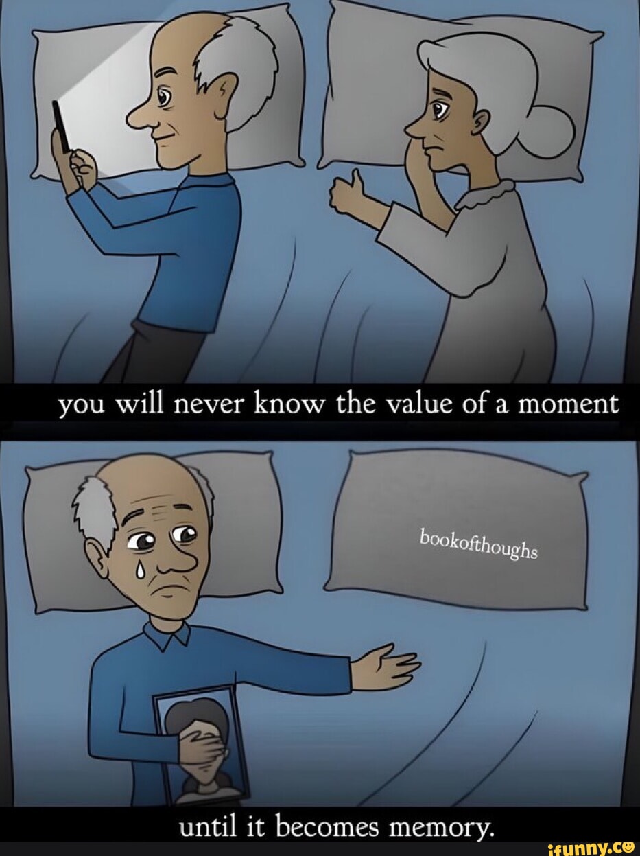 You will never know the value of a moment until it becomes memory. - iFunny